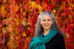 Frauenkirche Meißen – Erhalten und Gestalten